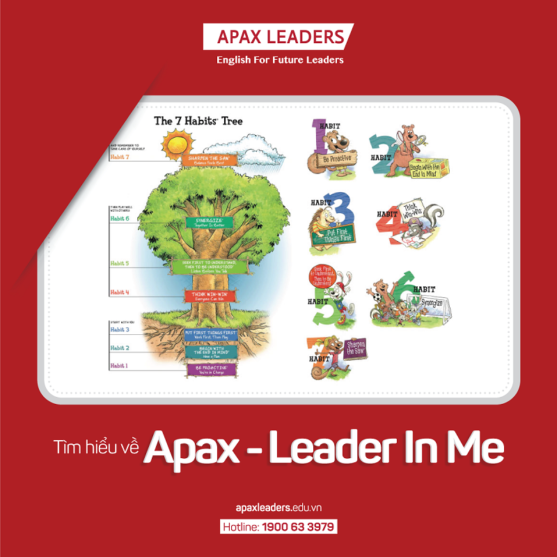 Rộn ràng không khí lễ tốt nghiệp Apax Leaders 2019