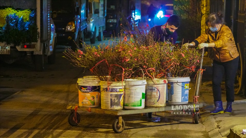 Chợ hoa “siêu to” ở Hà Nội nhộn nhịp ngày giáp Tết