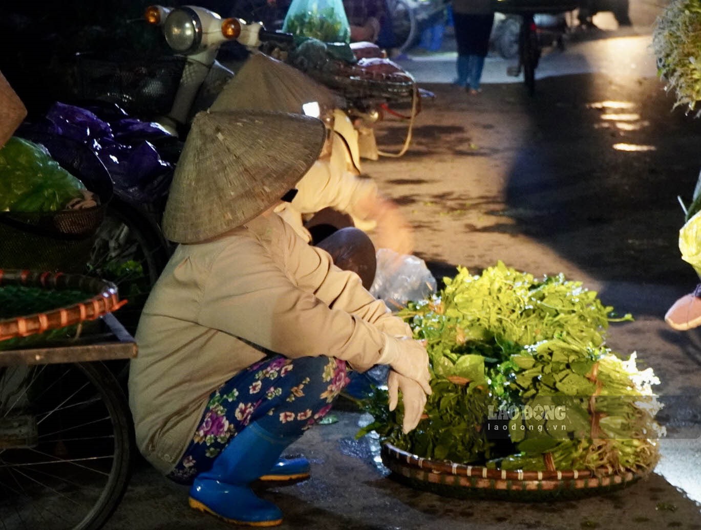 Mưu sinh trong đêm với những gánh hàng rau