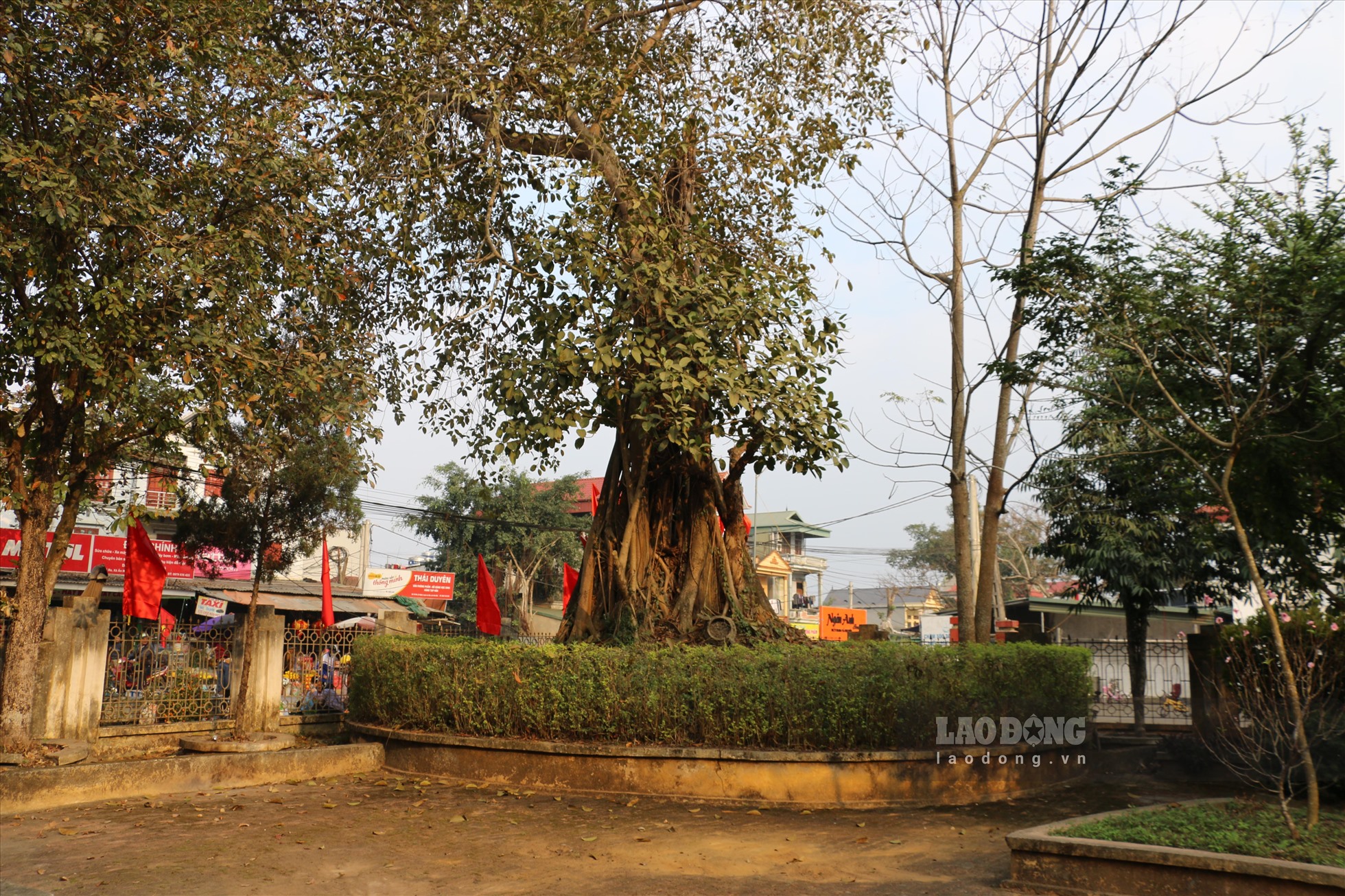 Thăm chiến khu Mường Khói ngày 30 Tết