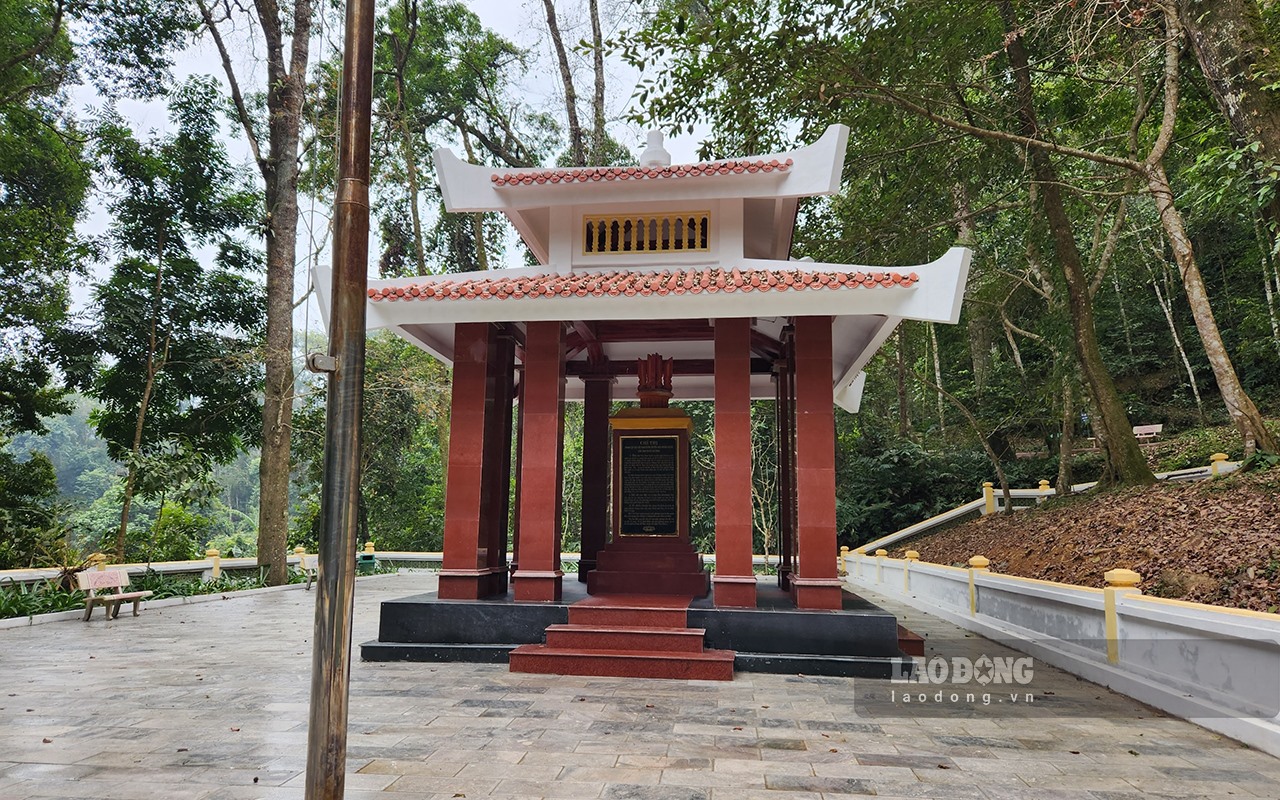 Khám phá rừng Trần Hưng Đạo - Nơi ra đời Quân đội Nhân dân Việt Nam