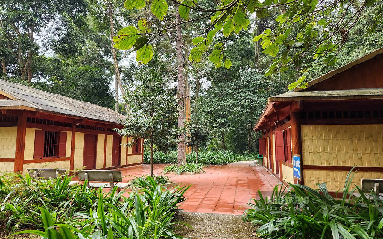 Khám phá rừng Trần Hưng Đạo - Nơi ra đời Quân đội Nhân dân Việt Nam