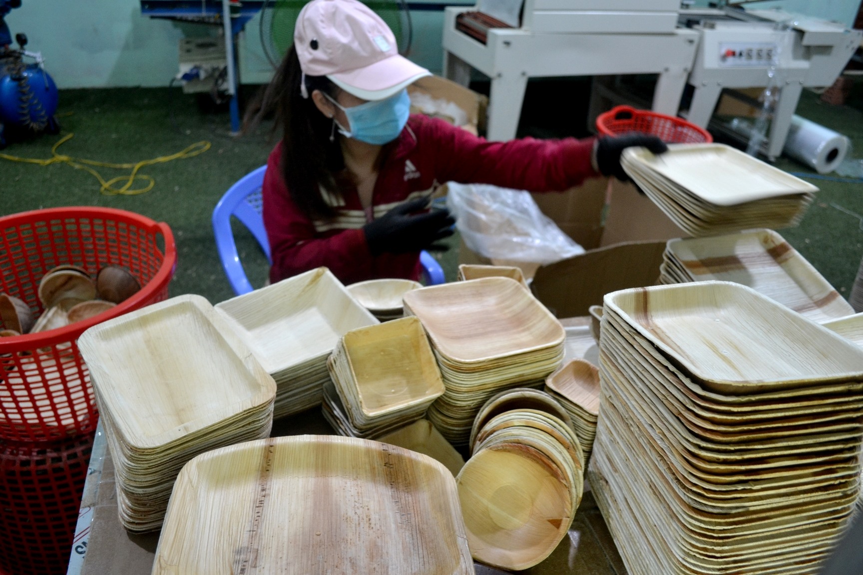 Người đưa mo cau xuất khẩu khắp thế giới