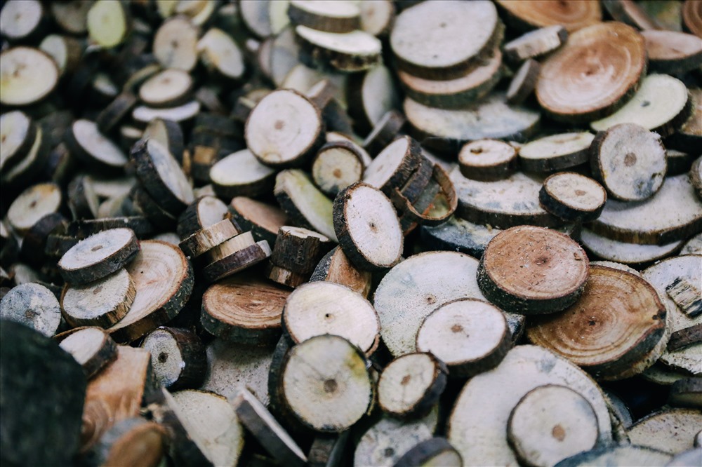 Creative Gara: Nơi trẻ được tự do sáng tạo