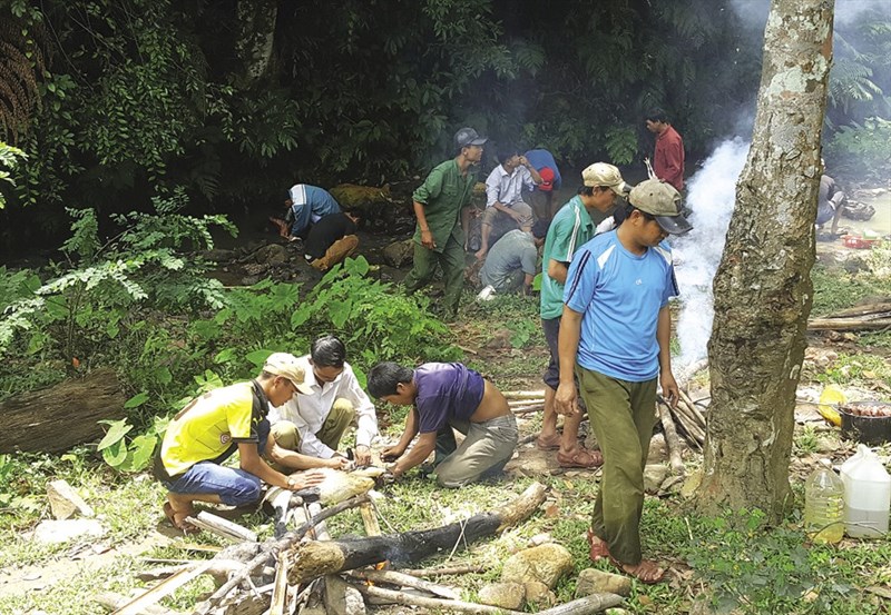 “Thần rừng” huyền bí trên đỉnh Trường Sơn