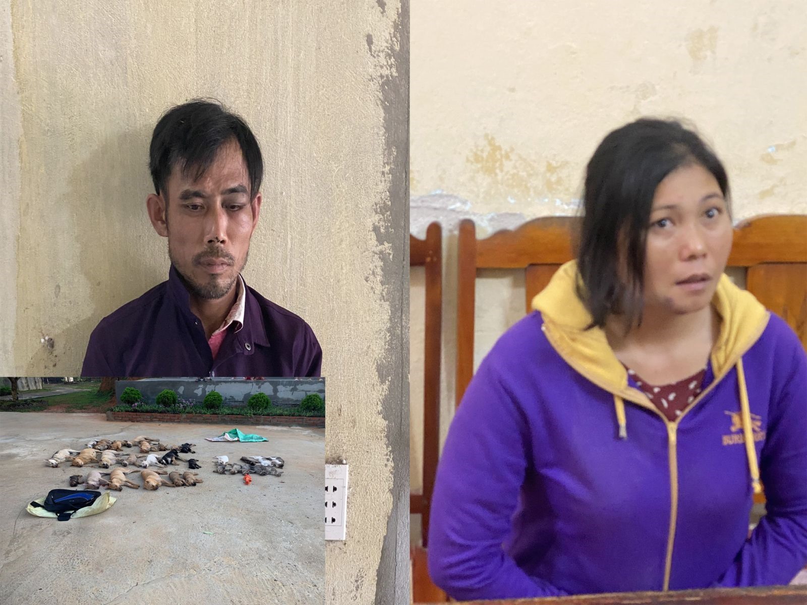 Đắk Nông: Tạm giữ hình sự một loạt đối tượng trộm chó