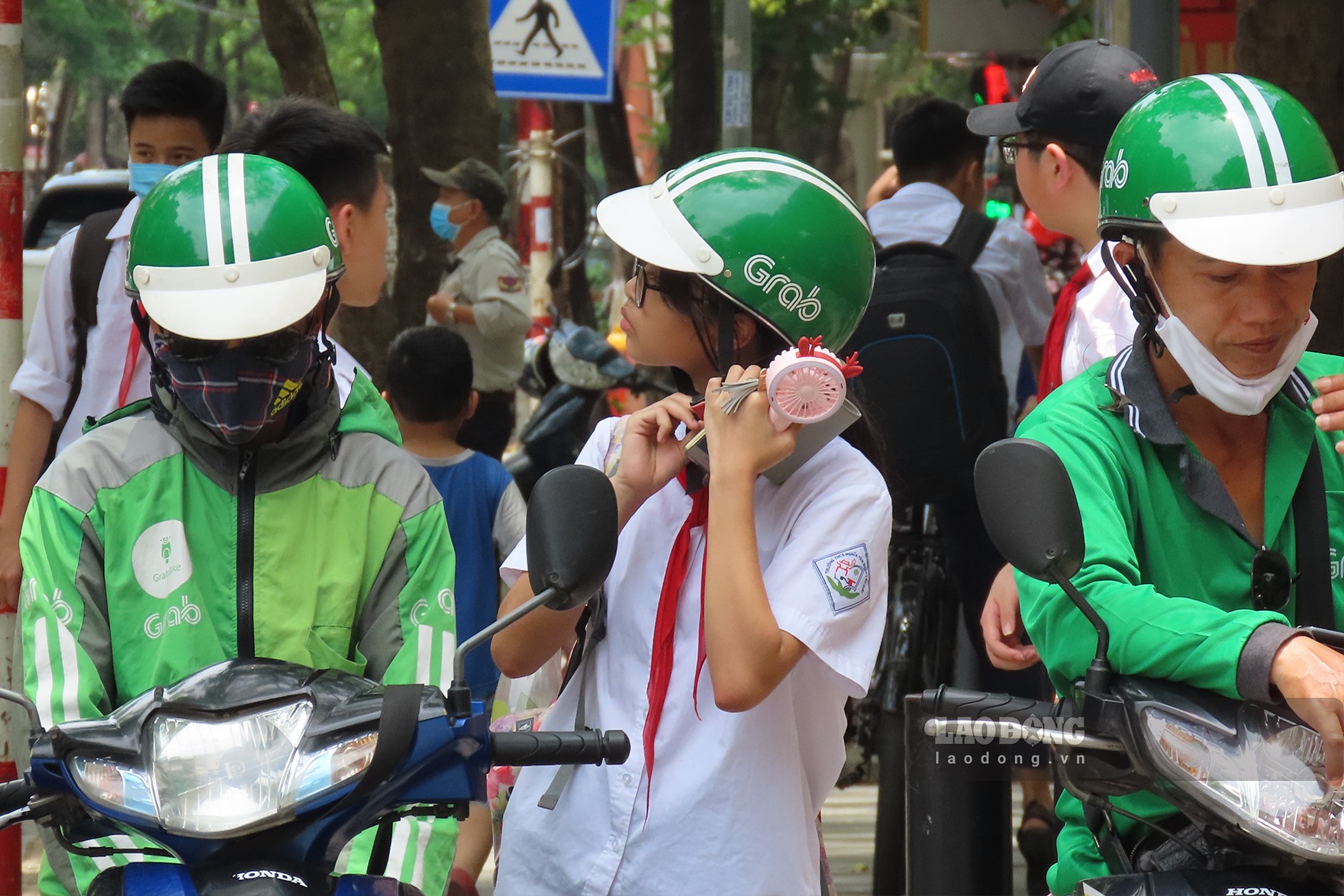 Thu hoạch cá mú nuôi thử nghiệm nặng hơn nửa tạ