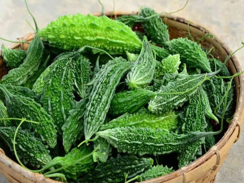 Mướp đắng và các bài thuốc chữa bệnh từ mướp đắng