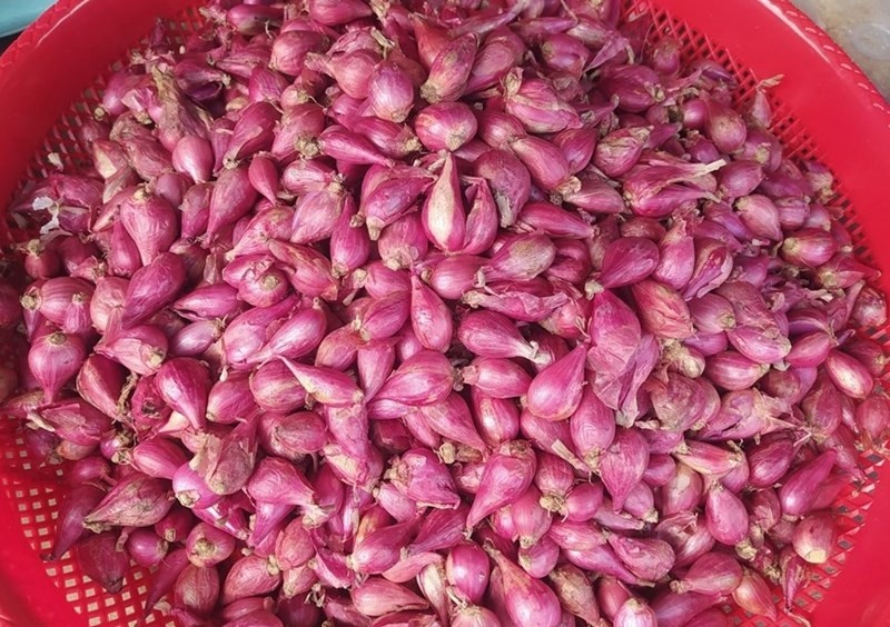 6 lợi ích của củ hành tím đối với sức khỏe