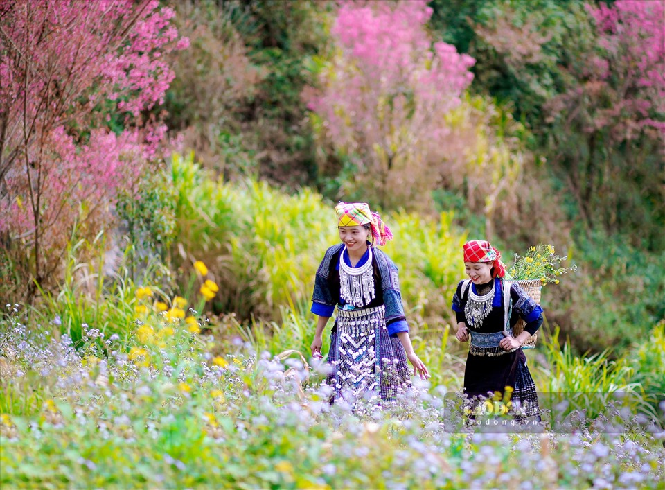 Ruộng bậc thang Mù Cang Chải được xếp hạng Di tích Quốc gia đặc biệt