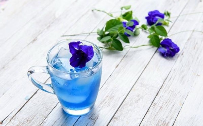 Công Thức Làm Nước Uống Hoa đậu Biếc Ngâm Mật Ong Lên Men Thanh Mát