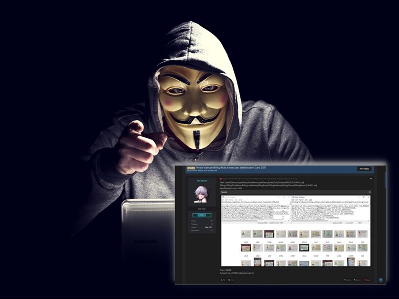 17GB dữ liệu cá nhân người Việt đào Pi Network bị hacker rao bán