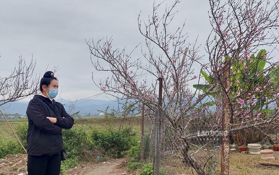 Lại nóng... chuyện đào rừng!