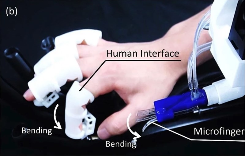 Đôi tay robot siêu nhỏ giúp con người chơi đùa với côn trùng
