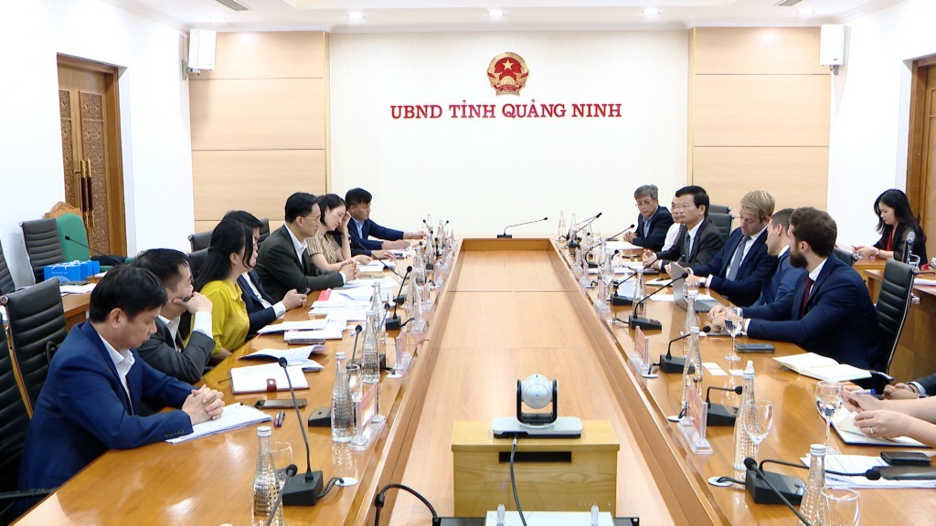 Tập đoàn dầu khí BP muốn đầu tư điện gió ngoài khơi Quảng Ninh