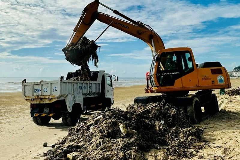 Hơn 200 người tham gia thu gom rác bãi biển Vũng Tàu