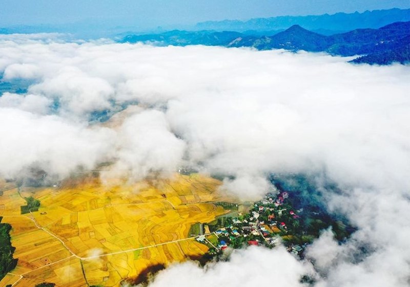 Thời tiết Đông Bắc đêm 2.12 và ngày 3.12: Trời rét đậm, rét hại có mưa