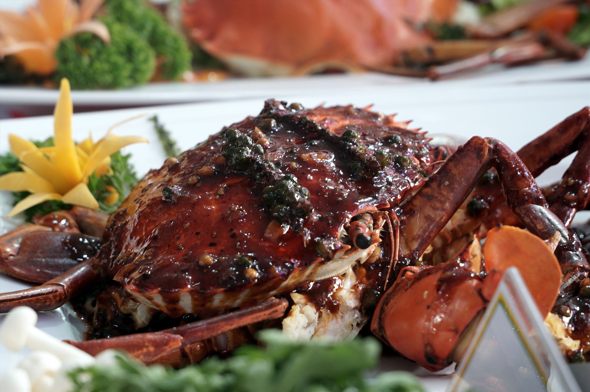 Thích thú xem Cua Sumo đội vương miện như... hoa hậu