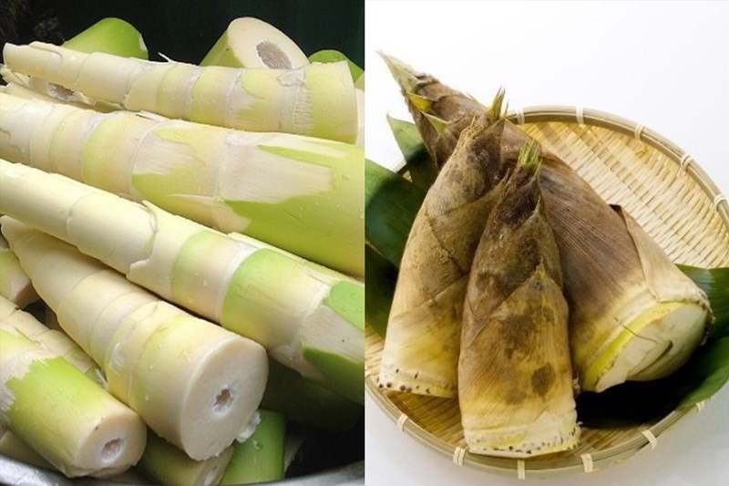 2 công thức nấu ăn đơn giản với măng tre thơm ngon tròn vị