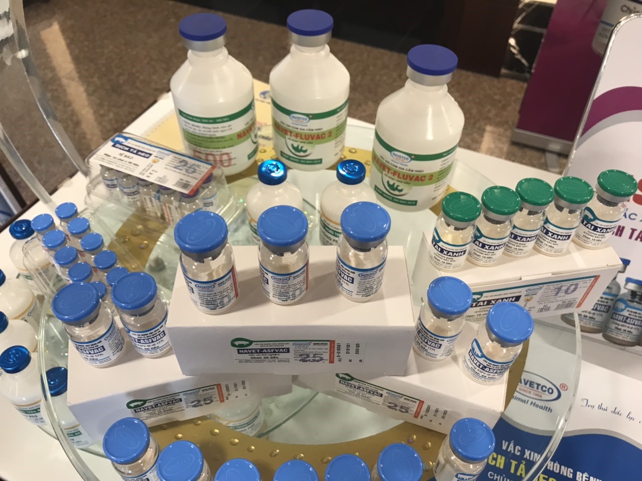 Lợn chết hàng loạt sau tiêm vaccine: Xử lý bằng... “rút kinh nghiệm”