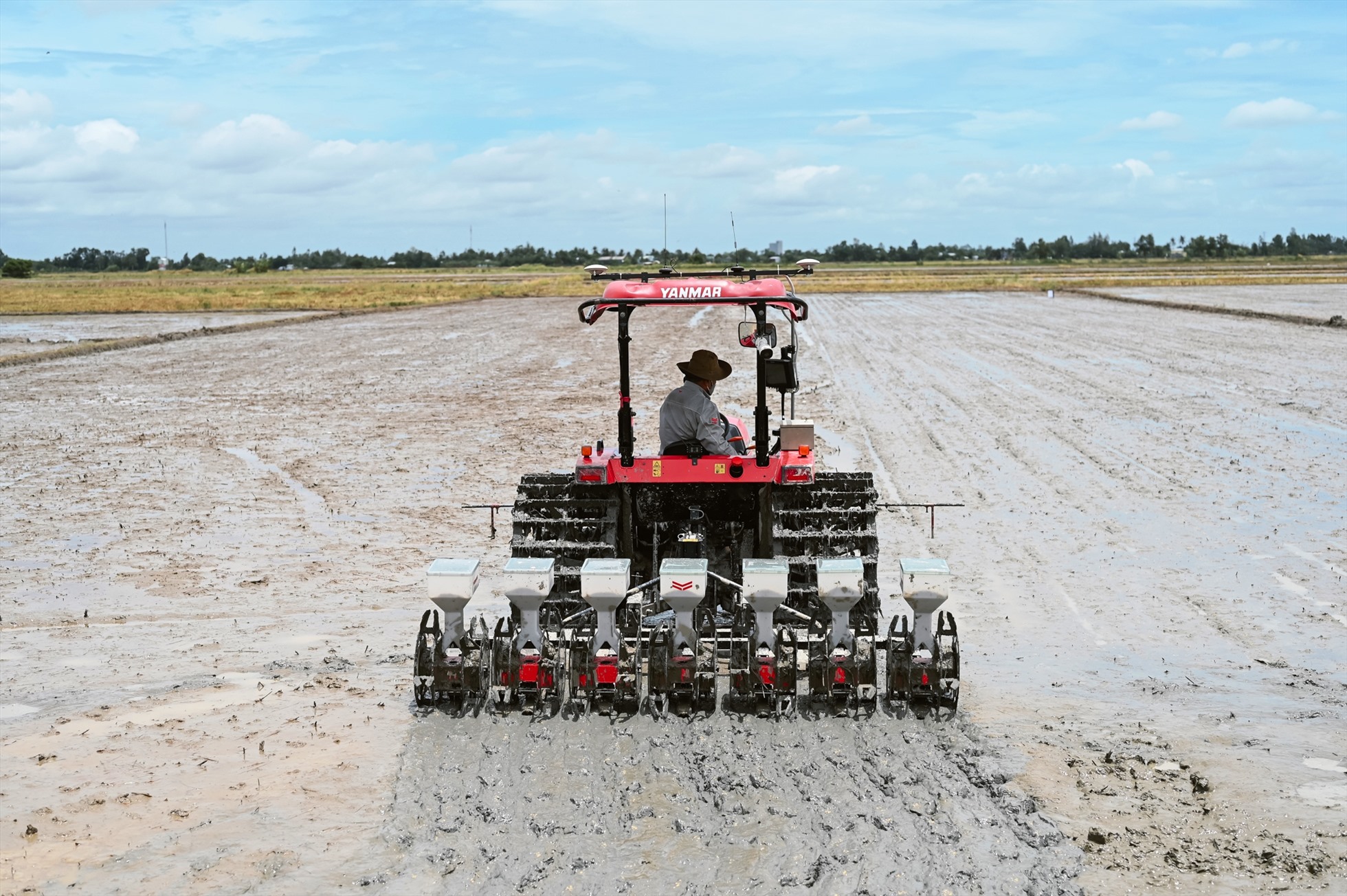 Thực hiện Đề án 1 triệu hécta lúa gạo chất lượng cao ở Kiên Giang: Cần ...