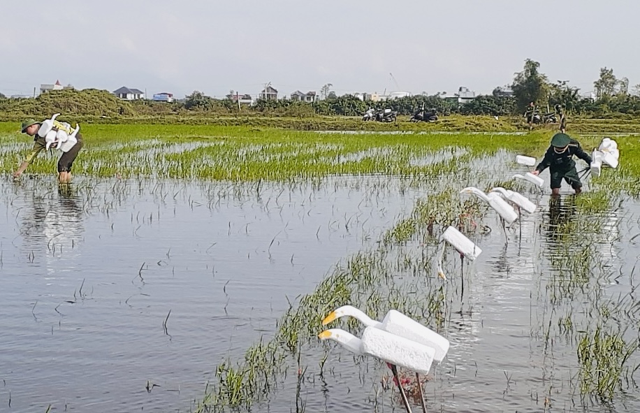 Ngắm nhìn thiên đường của các loài chim di cư