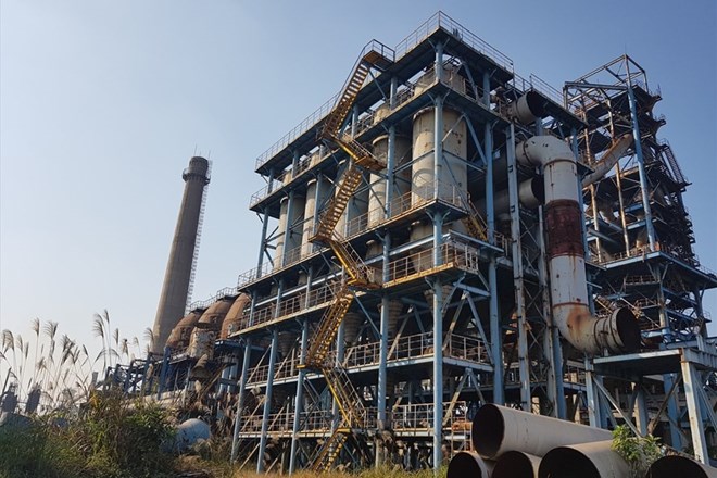 Khởi tố hai thanh niên trong vụ trộm chó bị ôtô tông hất văng