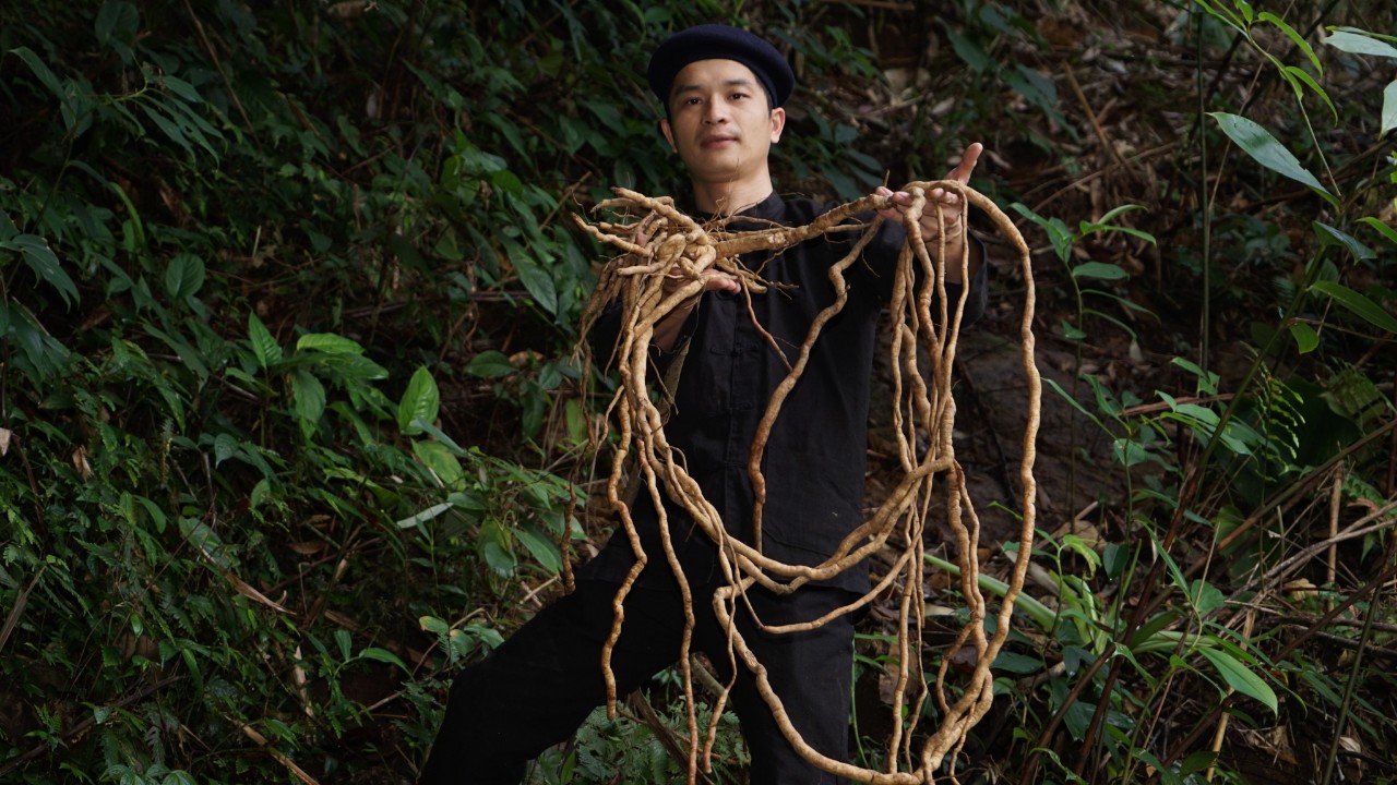 Bài thuốc đông y chữa yếu sinh lý, giúp nam giới khỏe hơn