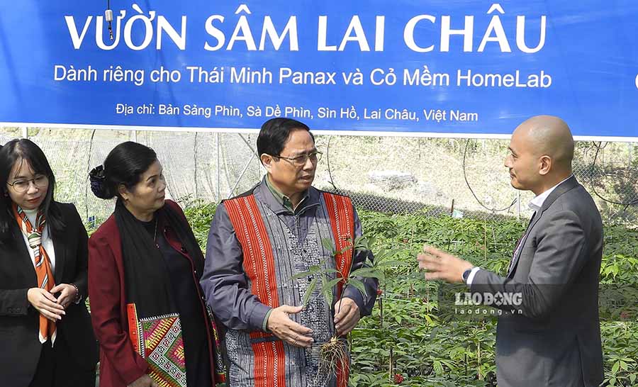 Xuyên đêm tìm phi công dù lượn gặp nạn