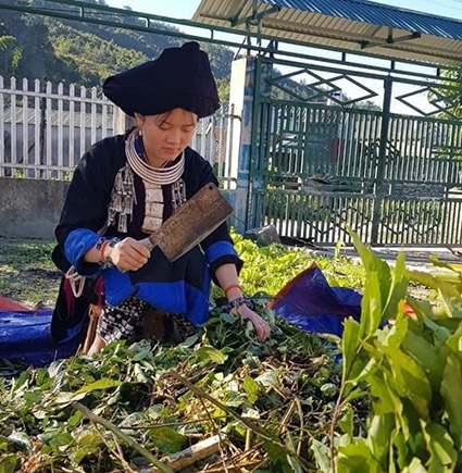 Nông dân tăng thu nhập nhờ tham gia mô hình Hợp tác xã