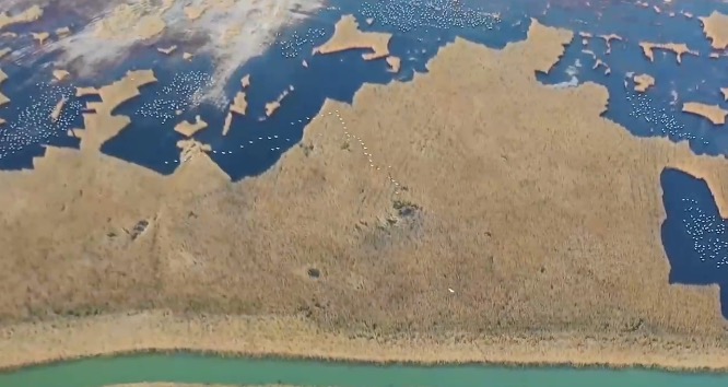 Ngắm nhìn thiên đường của các loài chim di cư