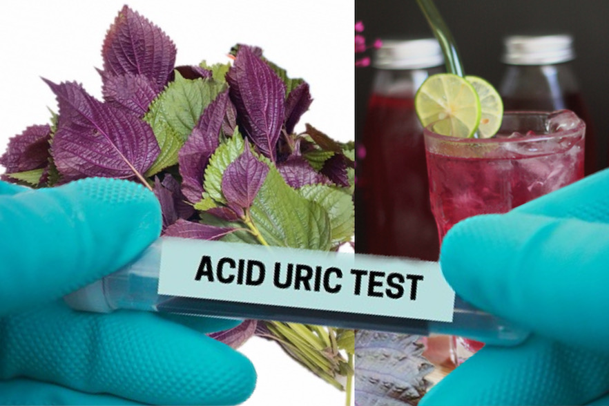 Những loại thức uống giúp giảm axit uric