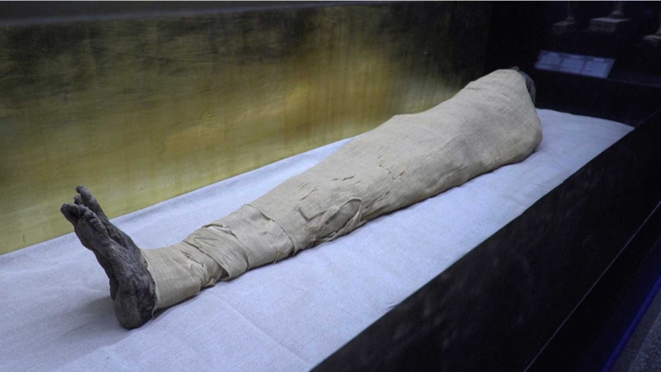 Công chúng được chiêm ngưỡng lại xác ướp hoàng gia lâu đời nhất Ai Cập