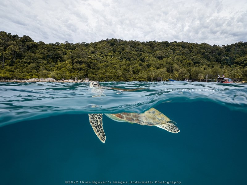 Nhiếp ảnh gia kể chuyện đại dương Việt Nam