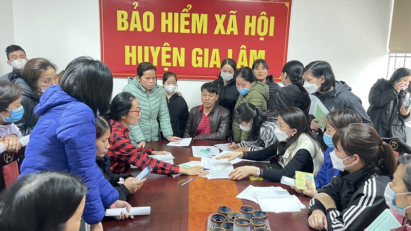 Niềm vui đã đến với 137 người lao động Công ty Haprosimex