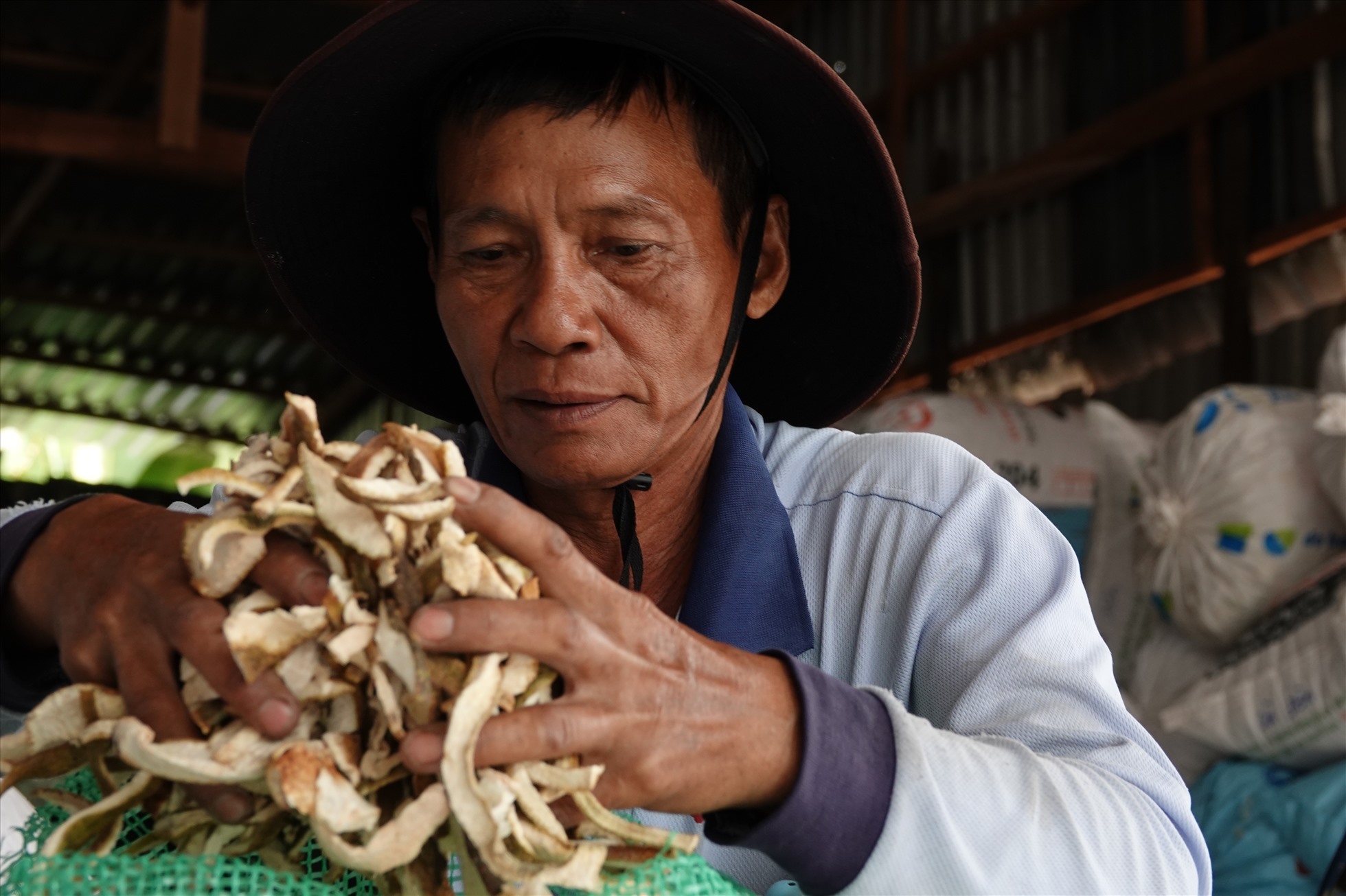 Lão nông U60 lèo lái HTX hơn 200 thành viên trồng lúa sạch làm giàu
