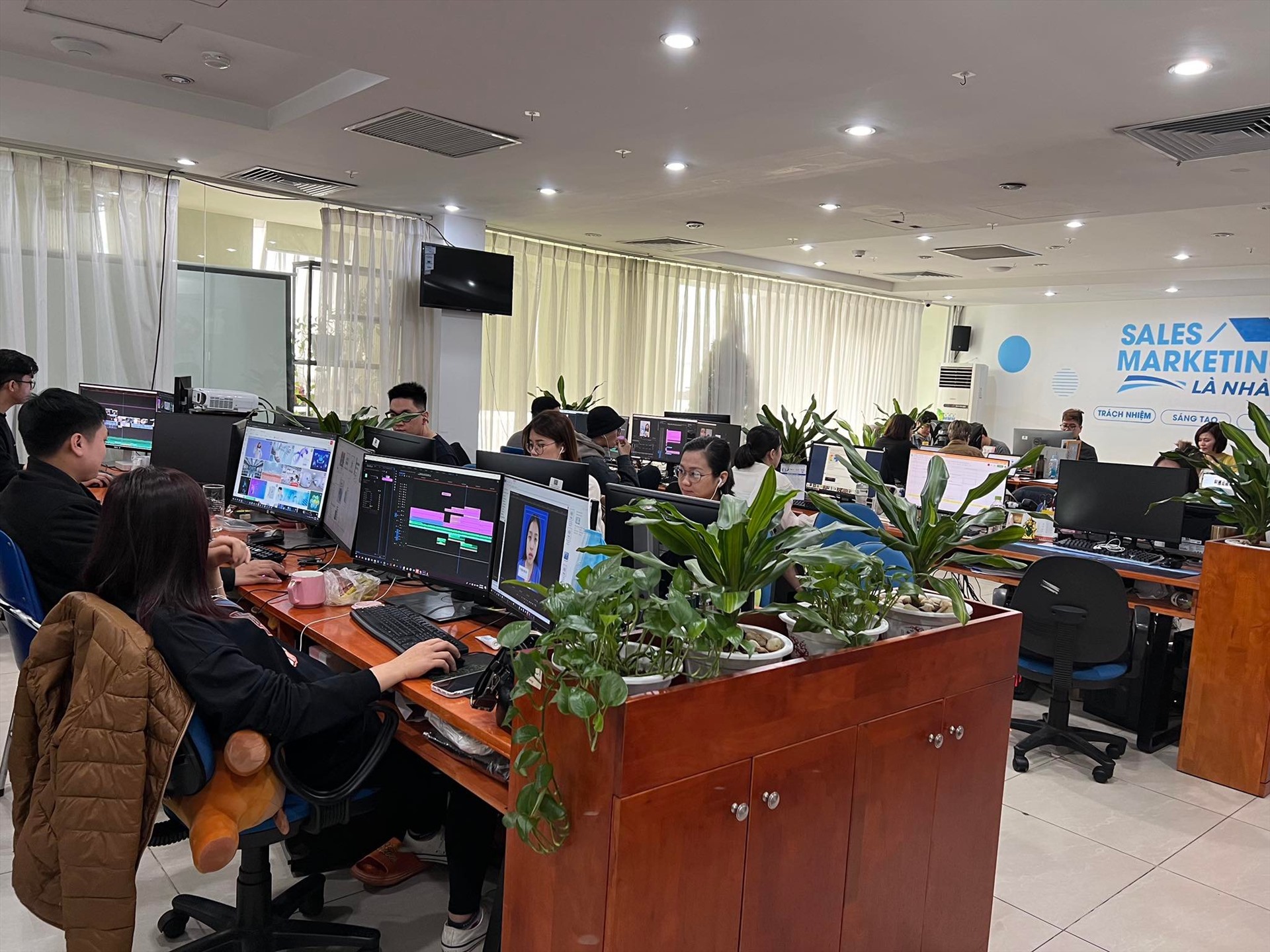 Người trẻ bỏ việc văn phòng làm nghề tự do | VOZ