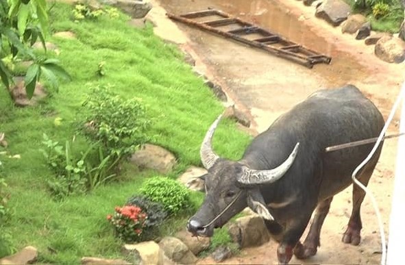 Sự phát triển của Công đoàn Bình Phước đóng góp cho phát triển kinh tế ...