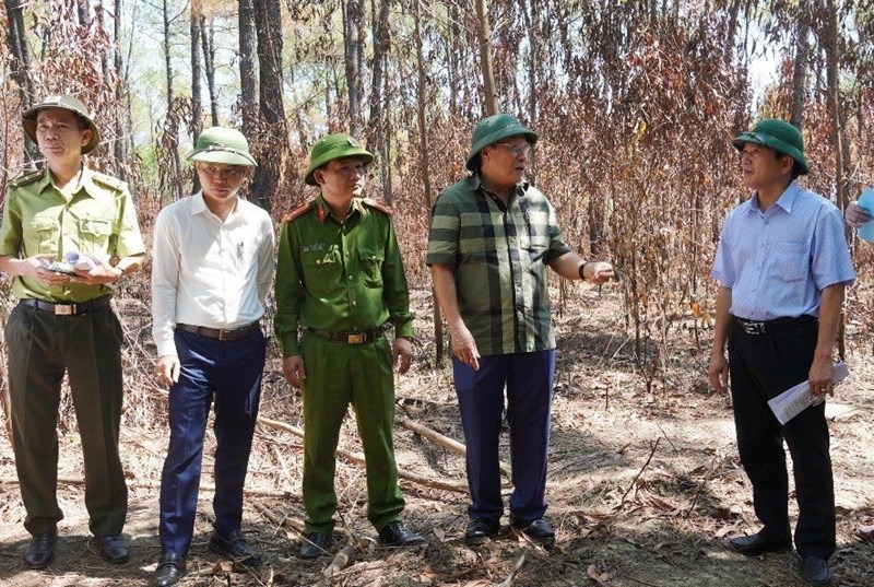 Nhiều vụ cháy rừng “có mục đích”, Quảng Trị yêu cầu làm rõ