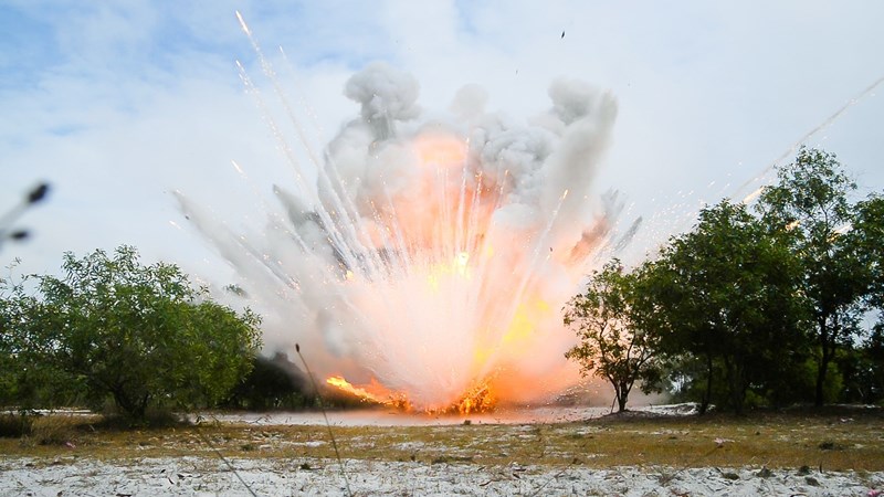 Thử nghiệm huấn luyện chó Sông Mã rà phá khu vực ô nhiễm bom chùm