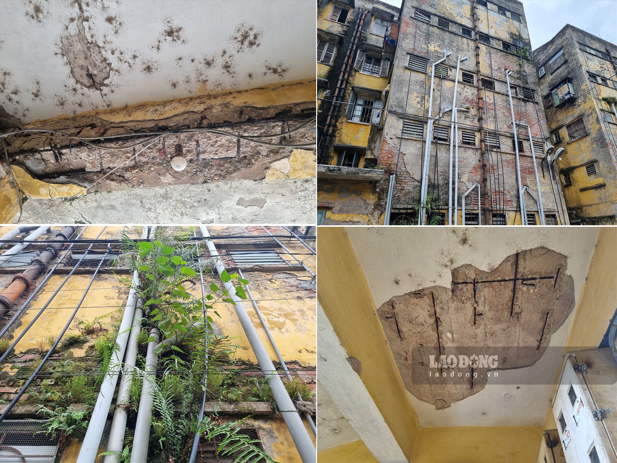 Ngồi hóng mát bên đường, người đàn ông bị xe ô tô con đâm tử vong