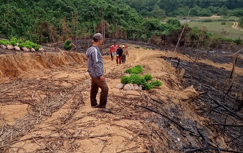 Bị hộ dân phá rừng phòng hộ chiếm đất, chủ rừng kêu cứu nhưng chưa được ...