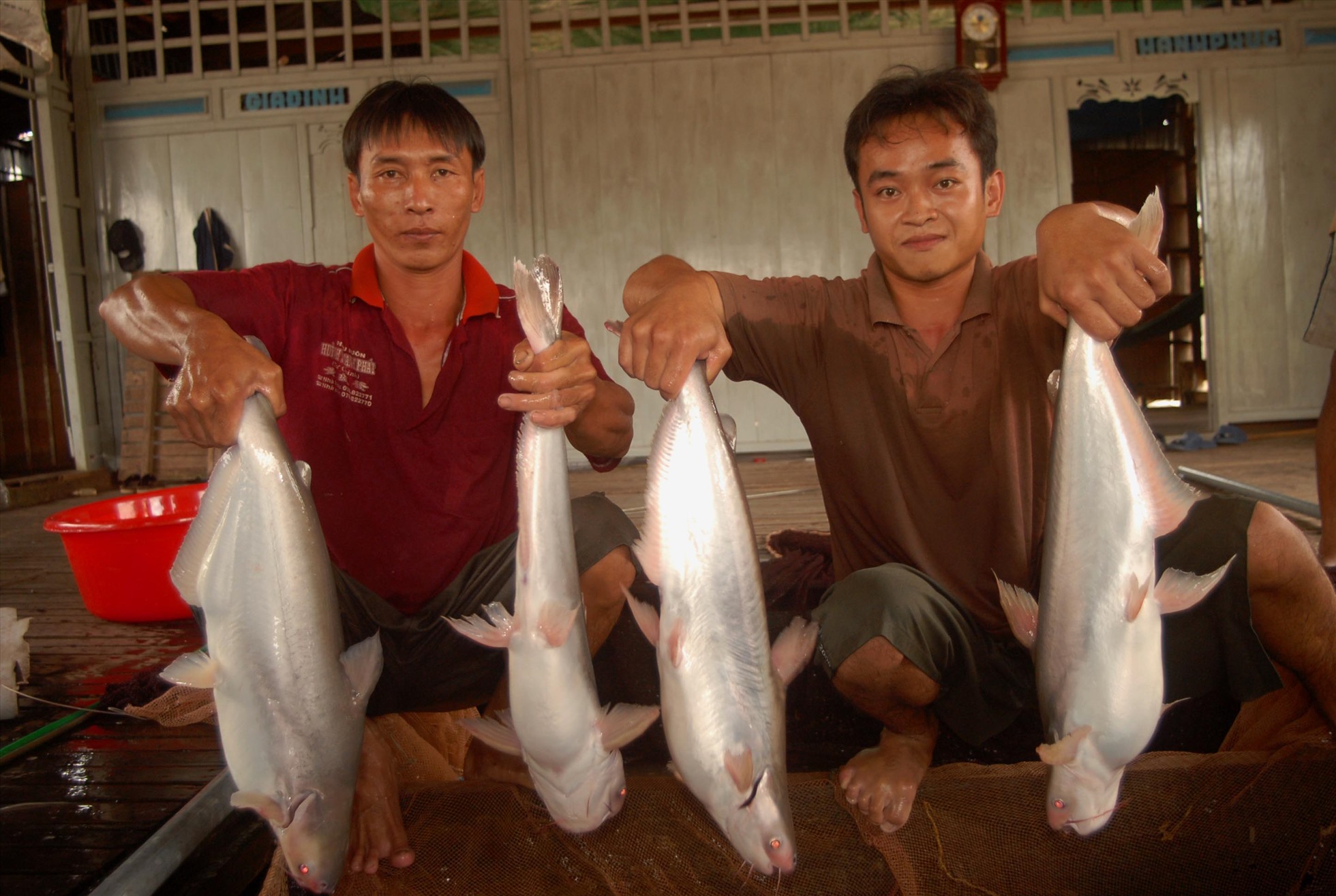 Dù nhiều thách thức, Việt Nam quyết tâm giữ ngôi vương về xuất khẩu cá tra