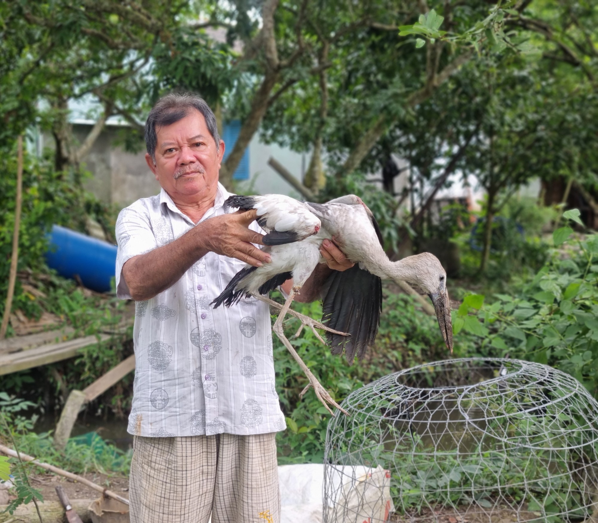 Lão nông dành khu vườn hơn 2,5 hecta làm nơi trú ngụ cho hàng ngàn chim ...