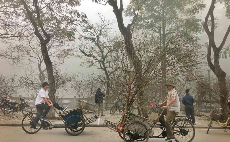 Lí Do Khiến Ubnd Thị Xã Sơn Tây Bất Ngờ Di Dời Chợ Hoa Tết Khiến Tiểu Thương Khốn đốn
