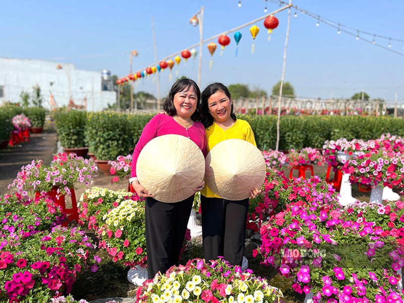 Vườn hoa Tết ‘hot’ nhất Long An dựng tiểu cảnh để khách chụp ảnh miễn phí