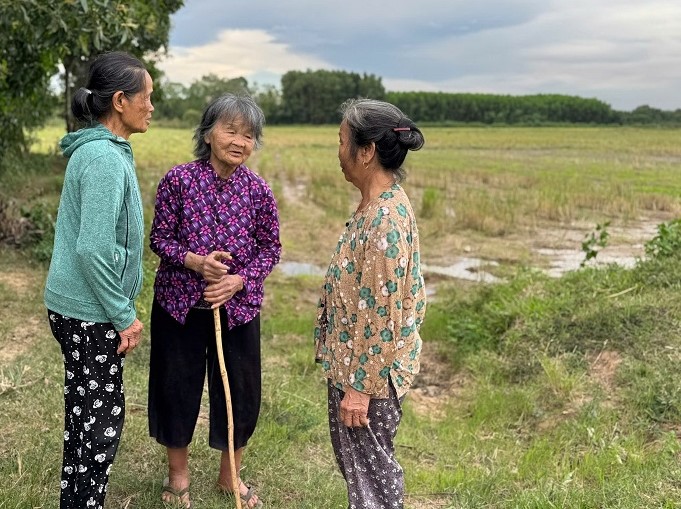 Đất thuộc Nhà nước nhưng cá nhân vô tư thu khoán lúa nước