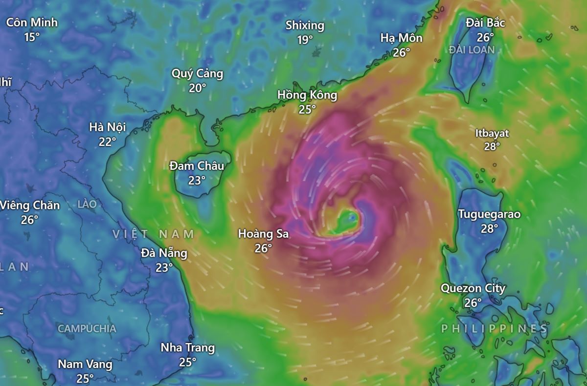 Forecast of storm Kong-Rey after storm No. 6 Tra Mi increases to ...