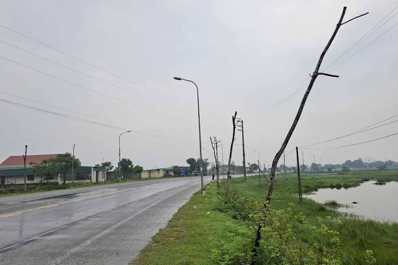 Kiên Giang cử cán bộ ra xã đảo làm rõ vụ cá mú, hàu chết hàng loạt