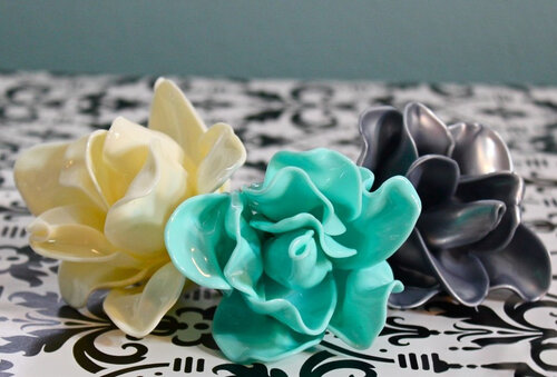 How to grow and care for carnations at home